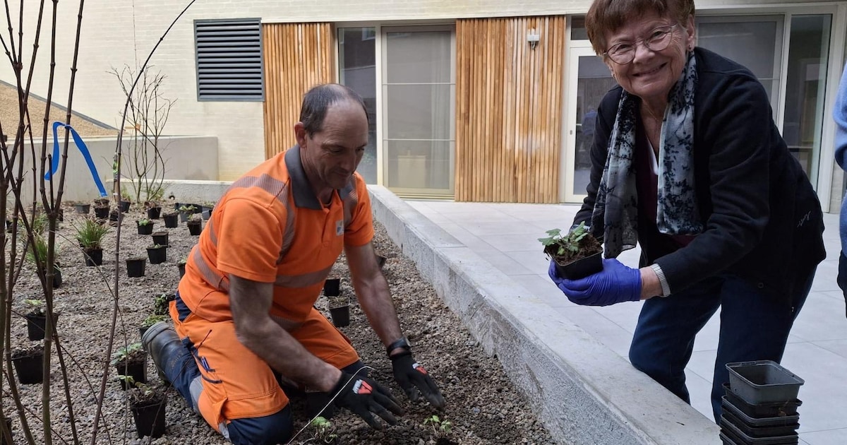 Groene handen in woonzorgcentrum Het Meerlehof: bewoners bouwen mee aan ...
