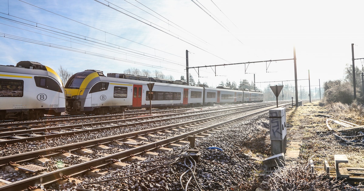 Meer treinen, meer reizigers: aantal treinritten neemt fors toe, vooral ...