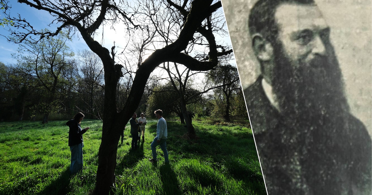 “Eet eens een Reinette Etoille Rouge of een Bonne Louise”: Westhoek ...