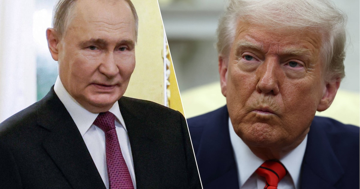 Trump: “Dinsdag gesprek met Poetin over beëindigen oorlog” - Rusland ...