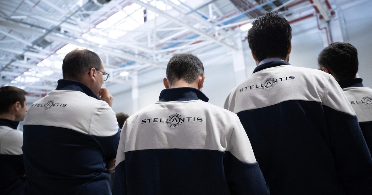 Autobouwer Stellantis wordt eigenaar van Limburgse Punch Powertrain ...