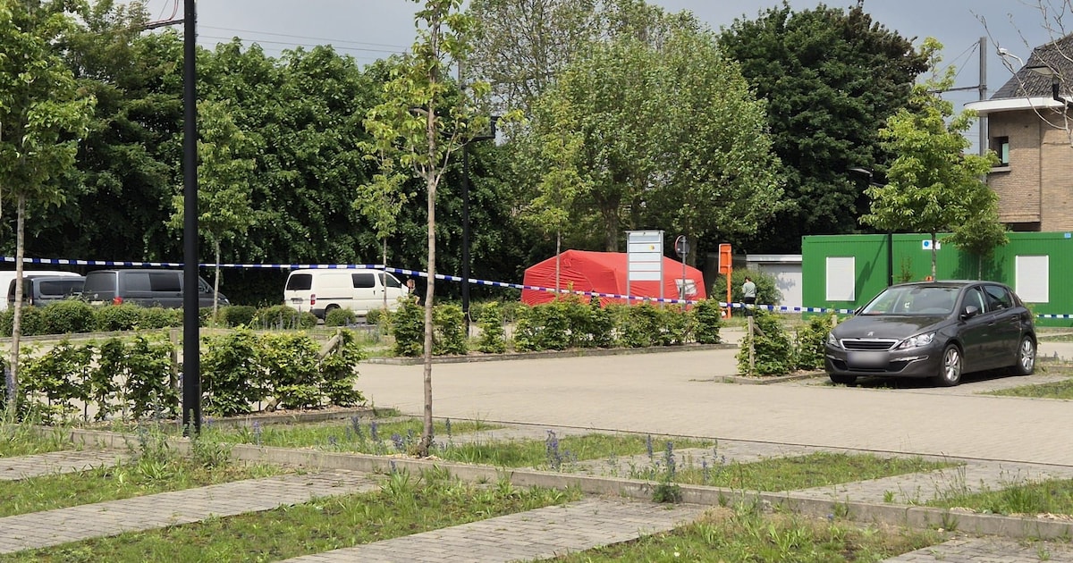 Voetganger in levensgevaar aangetroffen op voetpad: vluchtmisdrijf of ...