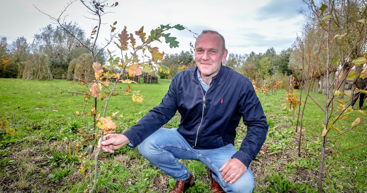Stad Oudenburg promoot groepsaankoop ‘Behaag je tuin’ | Oudenburg | HLN.be
