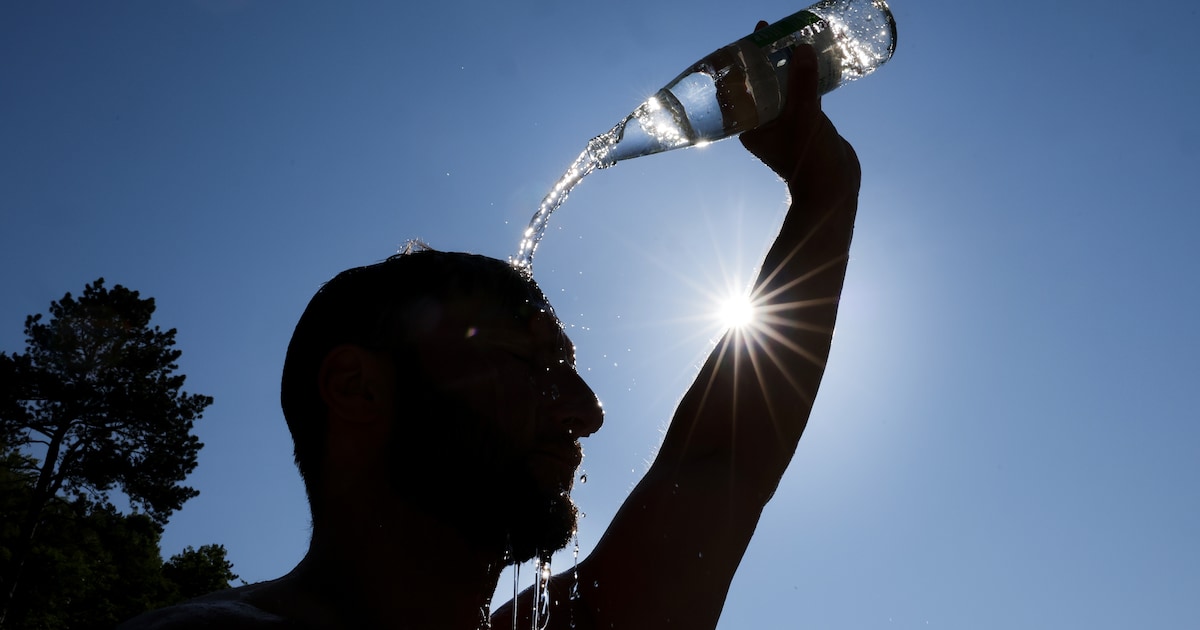 Tot 35 graden de komende dagen: Schilde geeft tips tegen de hitte ...