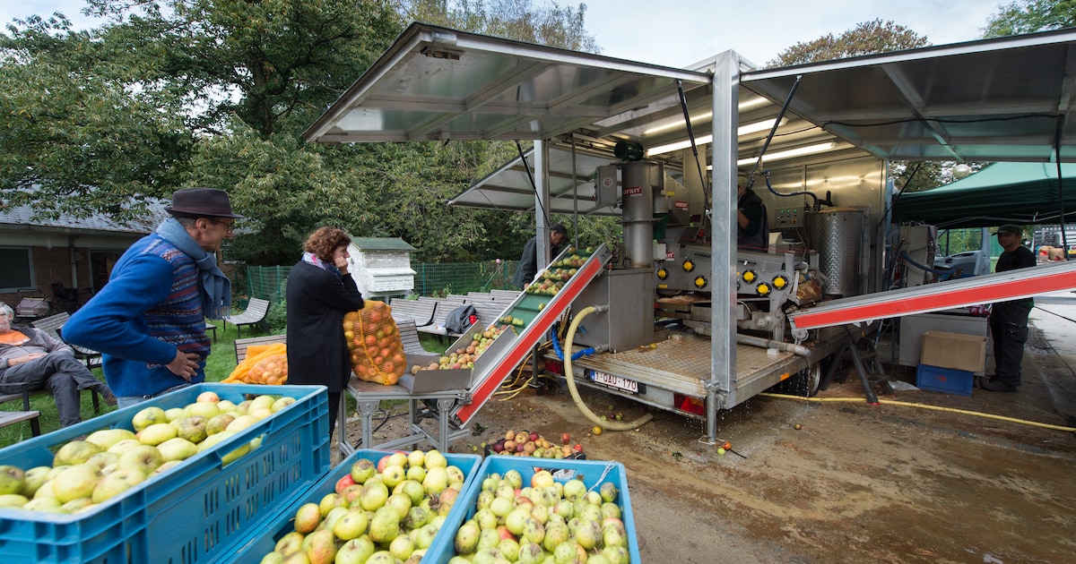 Laat je appels of peren persen tot vers fruitsap | Zoersel | HLN.be