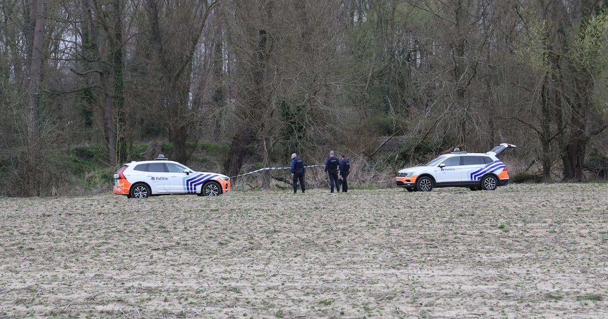 Landbouwer vindt lichaam van man langs de rand van zijn veld in Aalst: politie ter plaatse ...