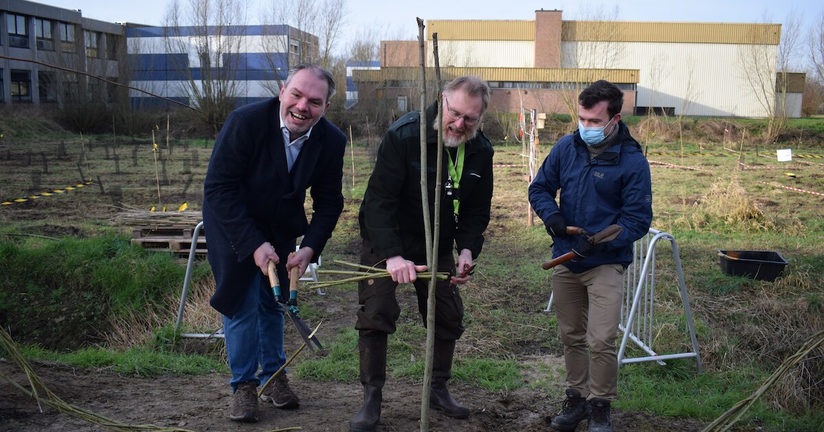Ex-boswachter Hubert plant bos voor alle Evergemnaren: “Hoop dat veel ...