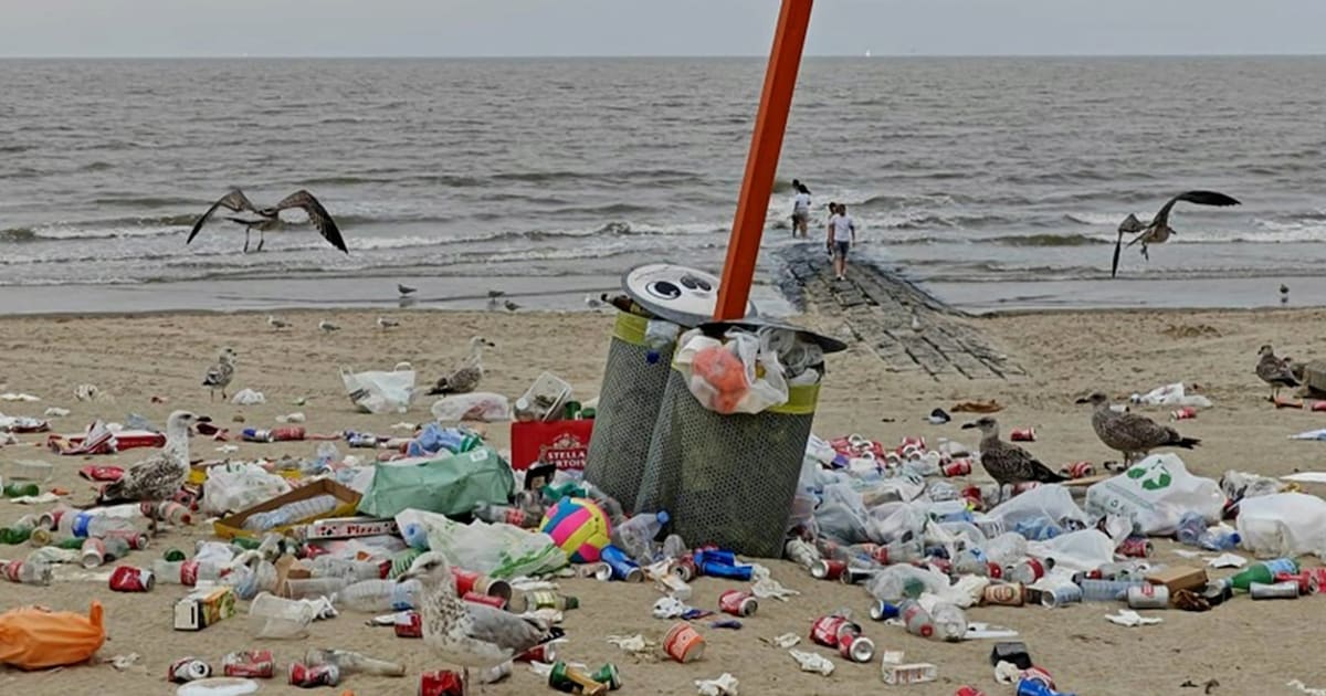Stad Oostende plant controleacties om strand en dijk netjes te houden ...