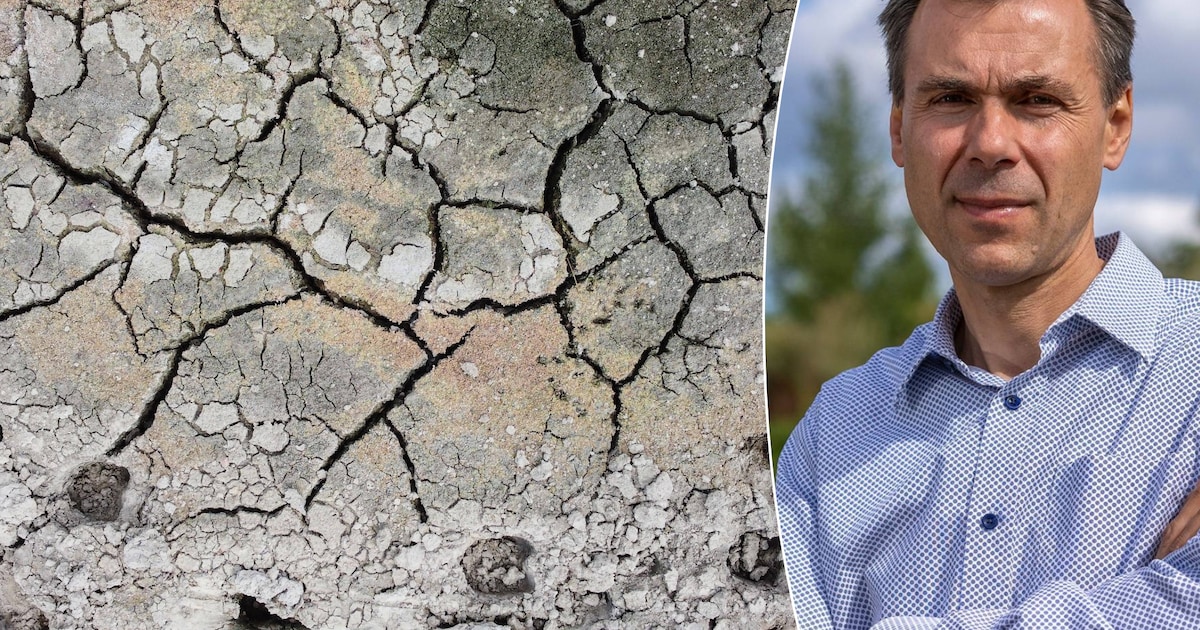 Zijn we op weg naar een even verschroeiende zomer als in rampjaar 1976 ...