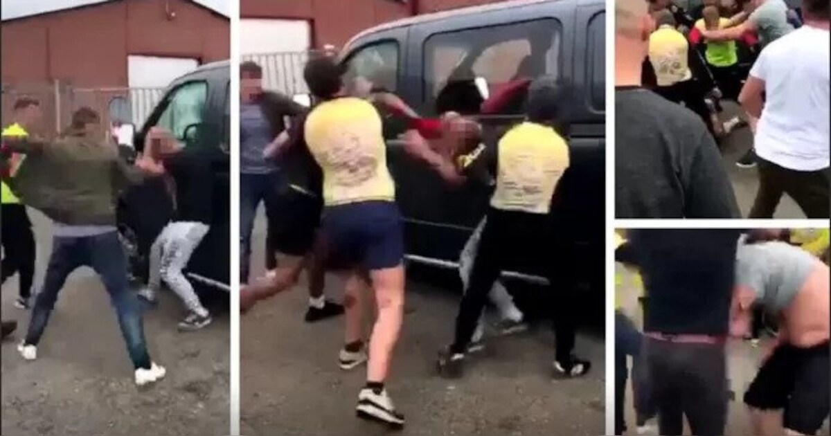 24 Beerschot-hooligans riskeren tot 22 maanden cel voor organiseren van ...