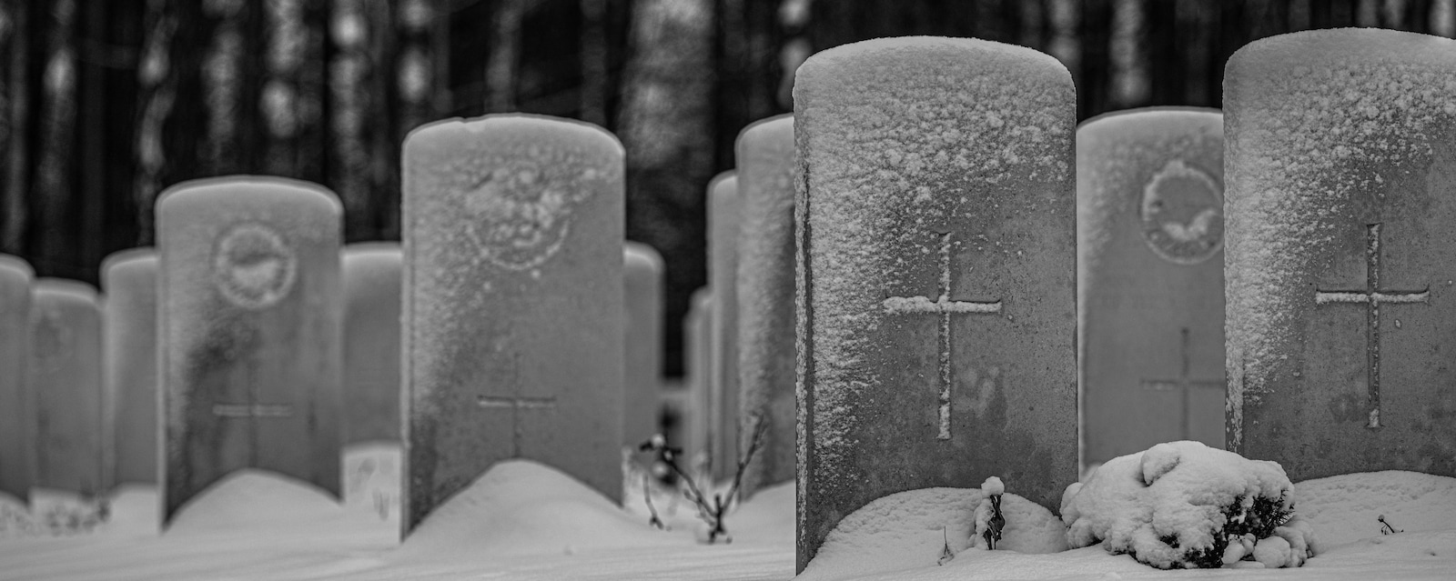Fotograaf Eric ziet rood van rozen door de sneeuw priemen: “Maar vooral ...
