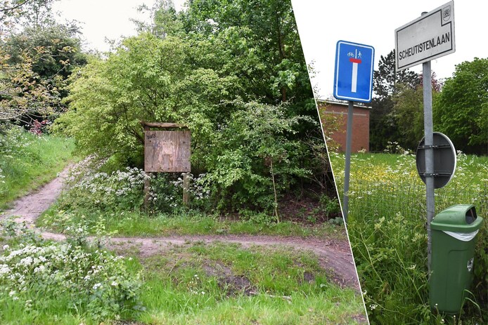25 miljoen keer bedankt! Deze verhalen beroerden Kortrijk het meest in ...