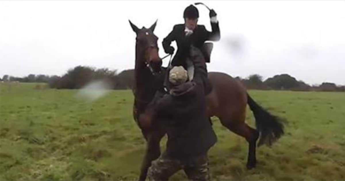 VIDEO: Jageres te paard geeft actievoerder van de zweep | Buitenland ...