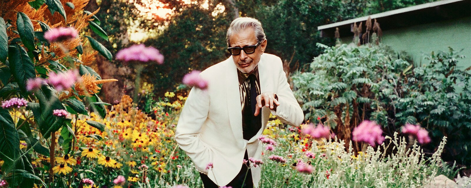 Hollywoodster Jeff Goldblum (73) komt met zijn jazzband naar Antwerpen ...