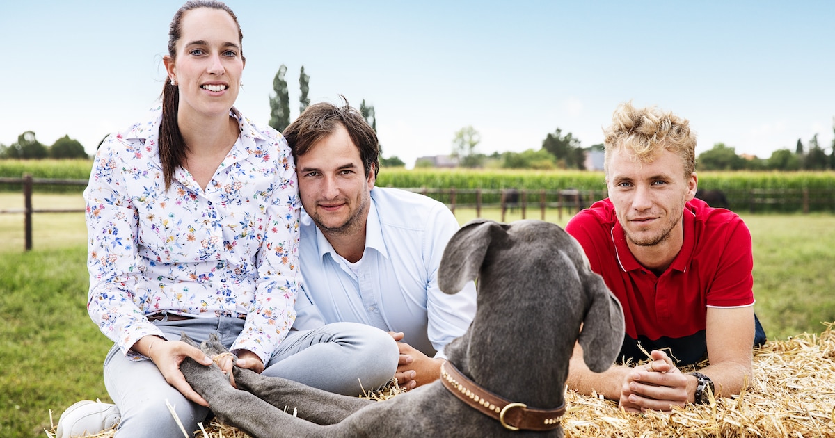 Afvaller Nelis kan zijn ontgoocheling moeilijk verbijten in ‘Boer zkt ...