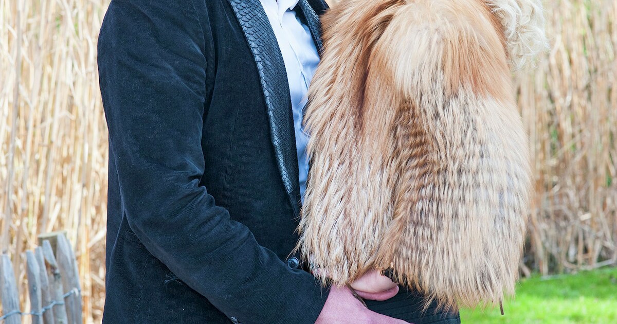 Harry & Olga werken volop aan hun kinderwens | Nieuws | hln.be