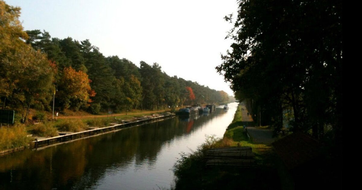 Errin (22) redt tachtiger van de verdrinkingsdood in Lommel: “Ik gooide ...