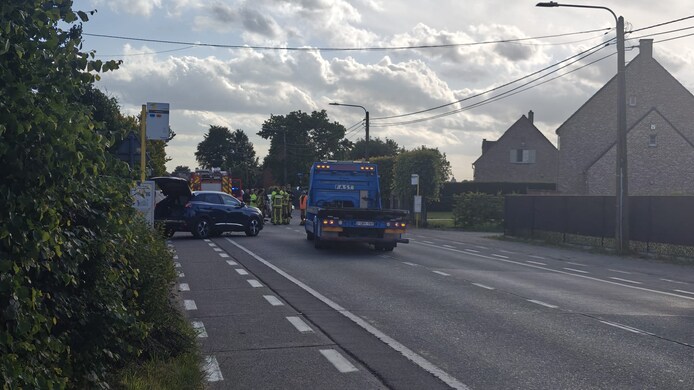 Frontale botsing op Herentalse Steenweg in Herenthout: één persoon naar ...
