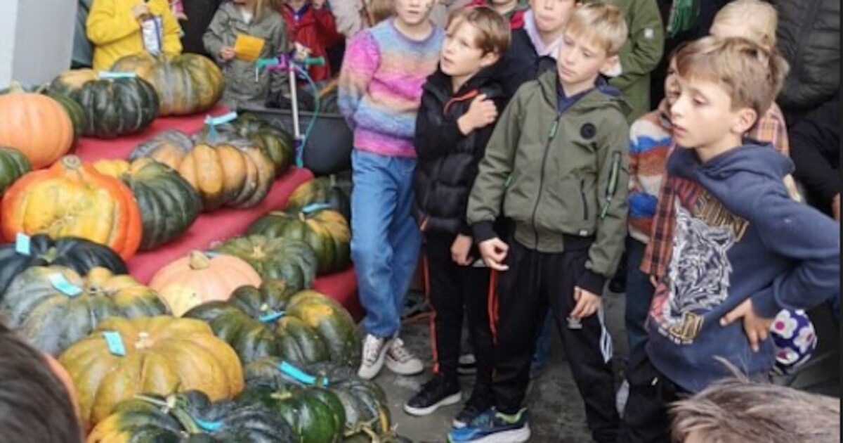 Nand Vandevelde kweekte zwaarste pompoen voor schooltuinfeest ...