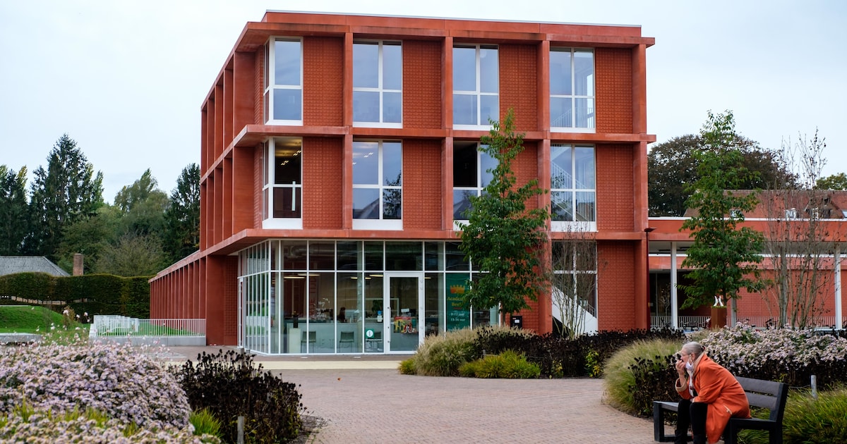Creativiteit troef in Boechout: Beeldacademie organiseert kunstzinnige ...