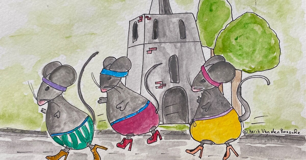 Van Thaise dans tot hogehakkenrace: Verenigingen zetten schouders onder ...