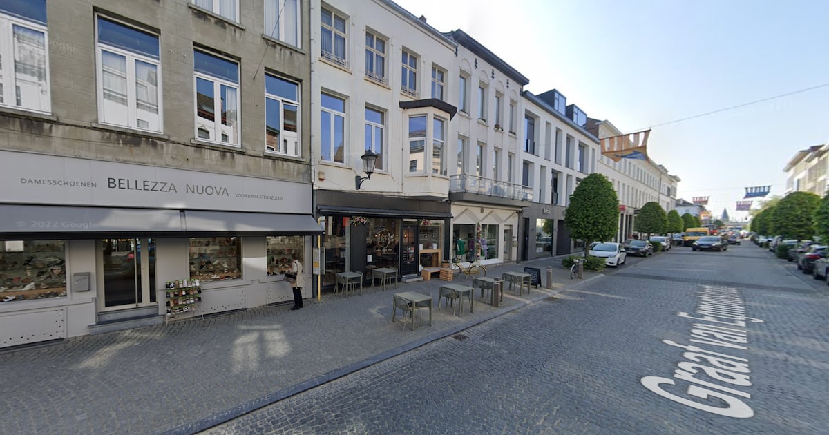 Twintigers opgepakt na winkeldiefstallen in Mechelen: “Eén van hen moet ...