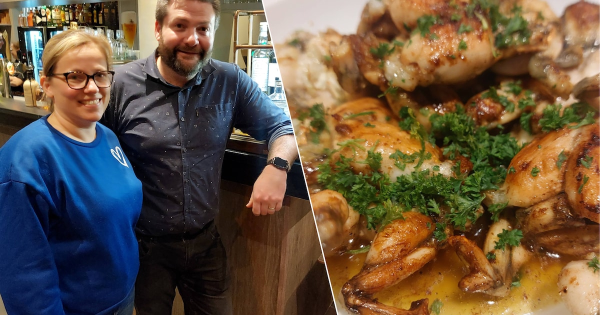 RESTOTIP. Bistro Vink in Zottegem: met ruim 15 jaar horeca-ervaring op ...