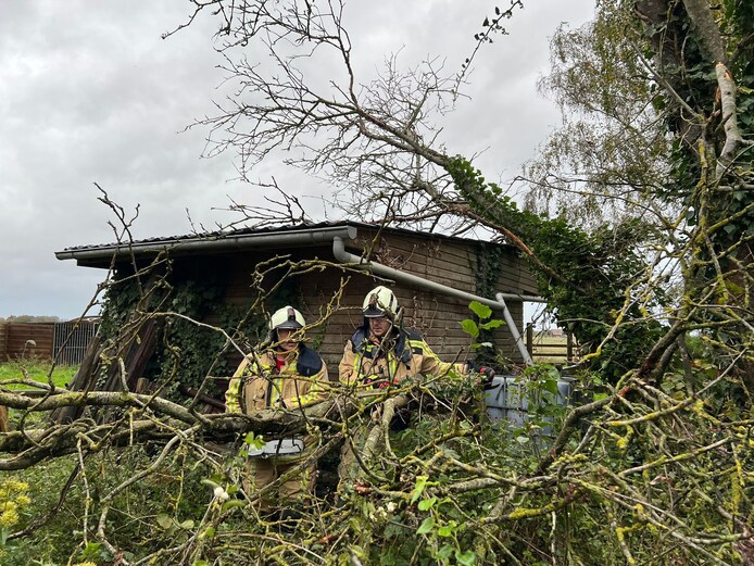 OVERZICHT. Storm Ciarán laat spoor van vernieling achter in Vlaanderen ...