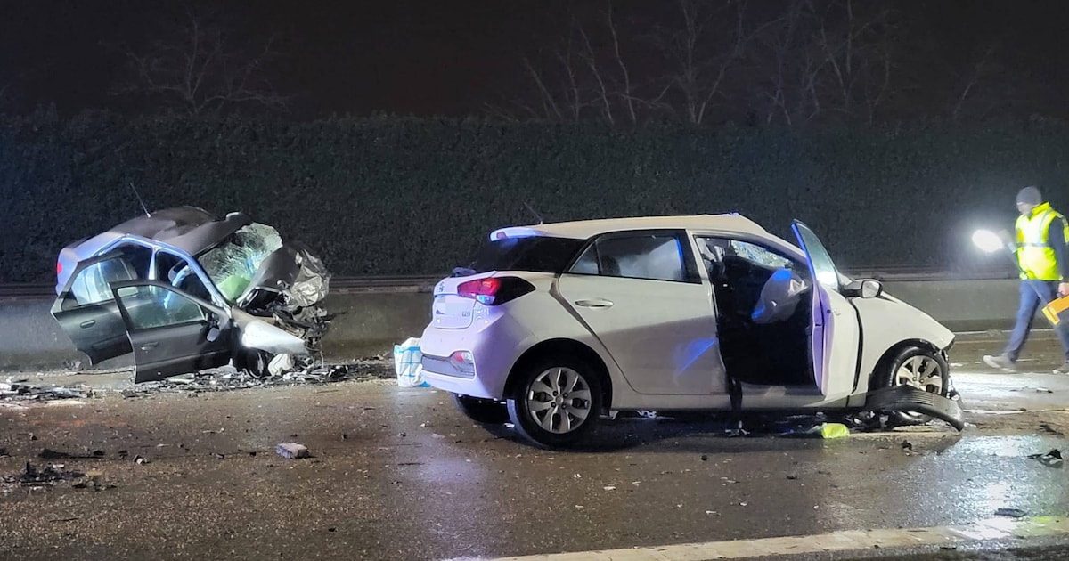 Spookrijder en bestuurster overleden na zwaar ongeval op A12 in Meise ...