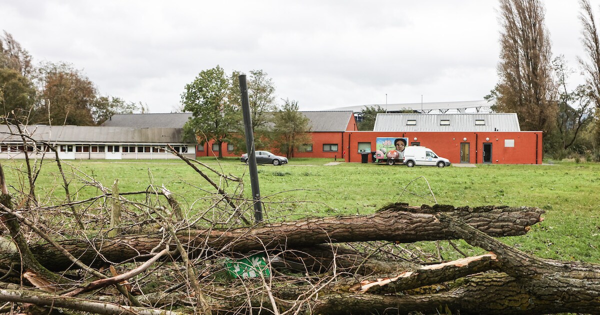Parket opent onderzoek voor onopzettelijk doding na dood van kleuter (5 ...