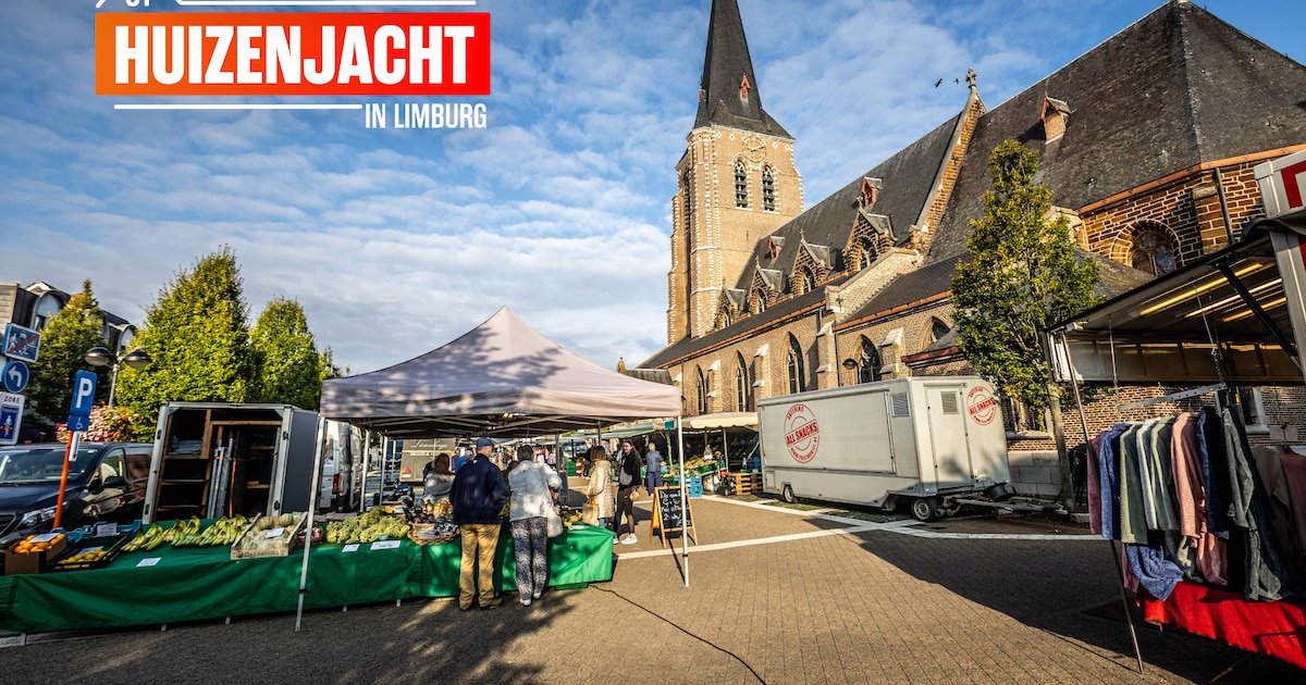 HUIZENJACHT. Tessenderlo, gemeente in bloei: “Instapklare woning met 3 ...