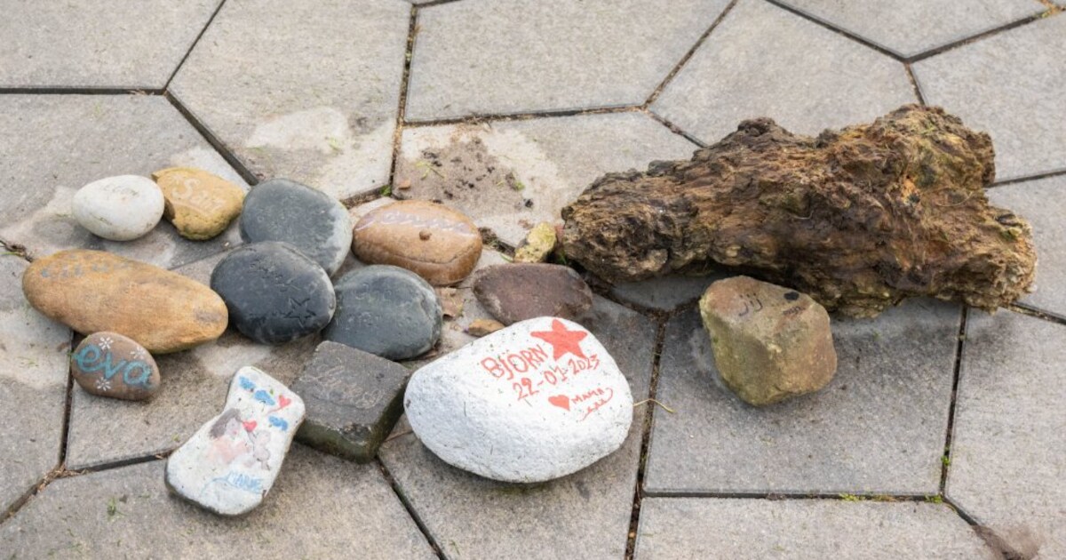 Gemeente lanceert register voor sterrenkindjes: "Een emotionele steun ...