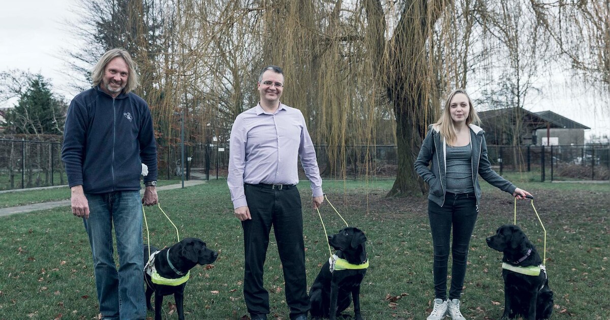 Centrum voor geleidehonden gaat meer kweken | Tongeren | hln.be