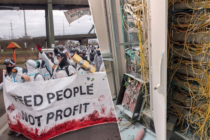 Deze regioverhalen mocht u niet missen dit weekend: varkentje George ...