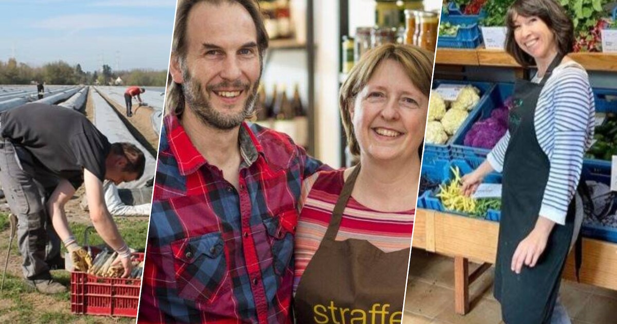 Verser dan vers: in deze 7 hoevewinkels in de Vlaamse Rand koop je ...