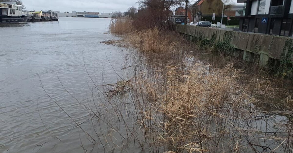 Schelde haalt hoge waterstanden in Baasrode na stormtij | Regio | HLN.be