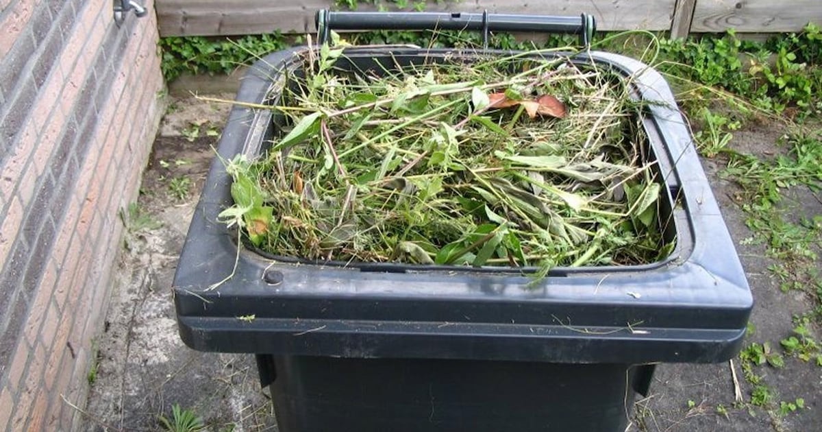 Gratis gft-container komt eraan: “Inwoners van Bodukap, Lier en Berlaar ...