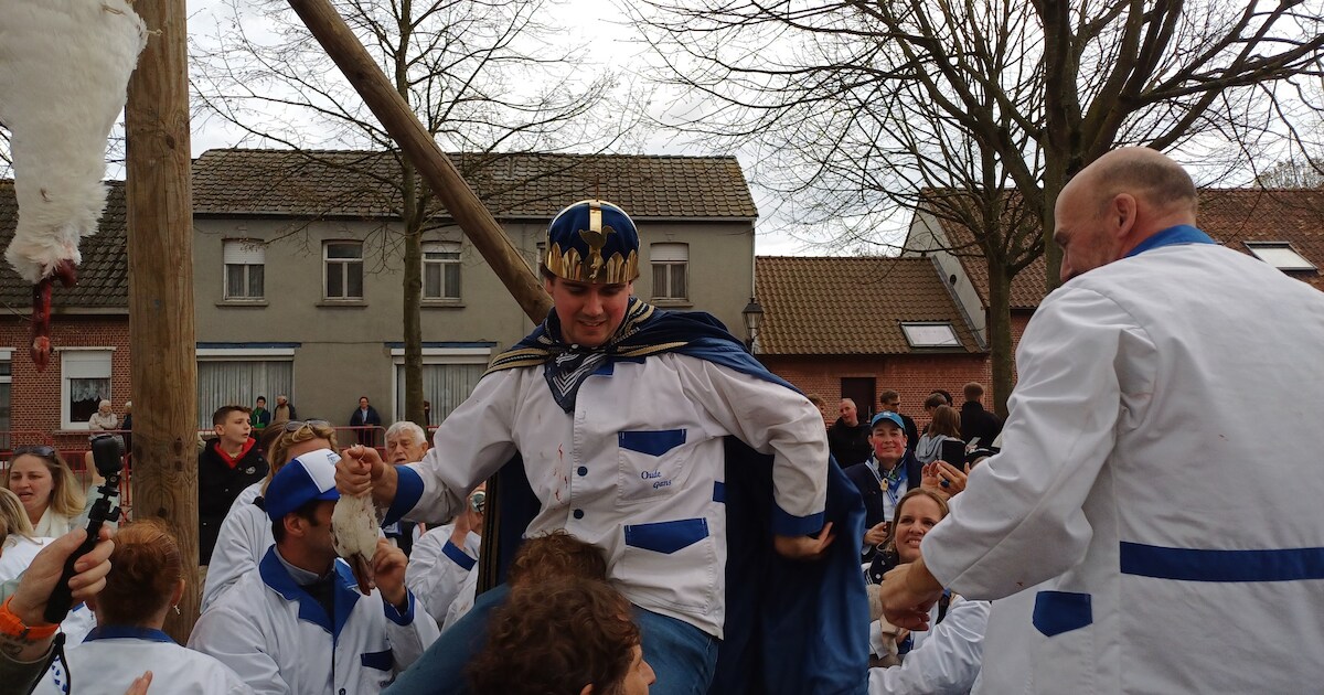 Quinten Lamot nieuwe koning voor Oude Gans in het gansrijden in ...