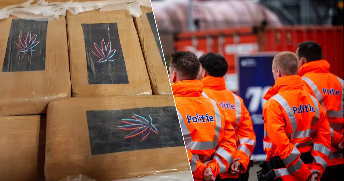 Dit jaar al 131 uithalers van drugs gearresteerd in haven van Antwerpen, en dat is meer dan in ...