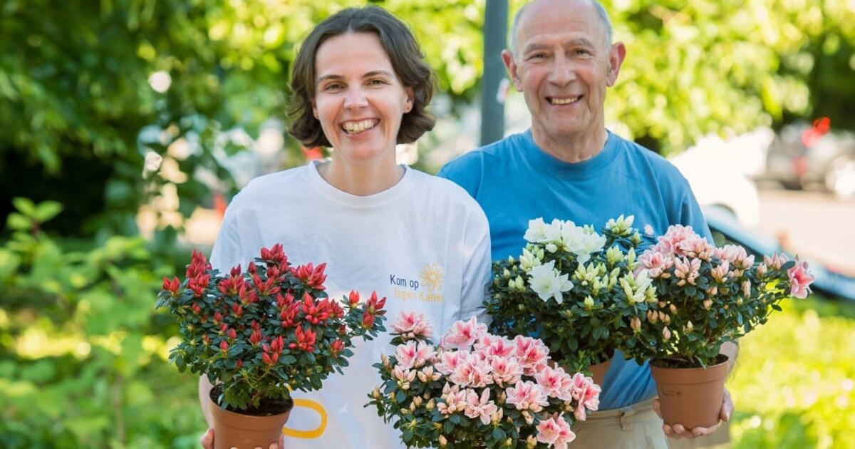 Vrijwilligers gezocht voor Plantjesweekend: “Azalea’s verkopen ten ...
