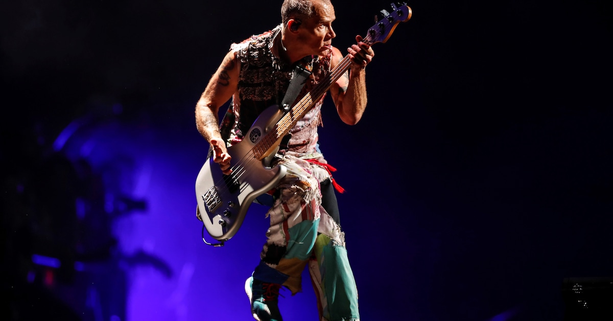 Red Hot Chili Peppers-bassist Flea komt naar Jazz Middelheim | Regio ...