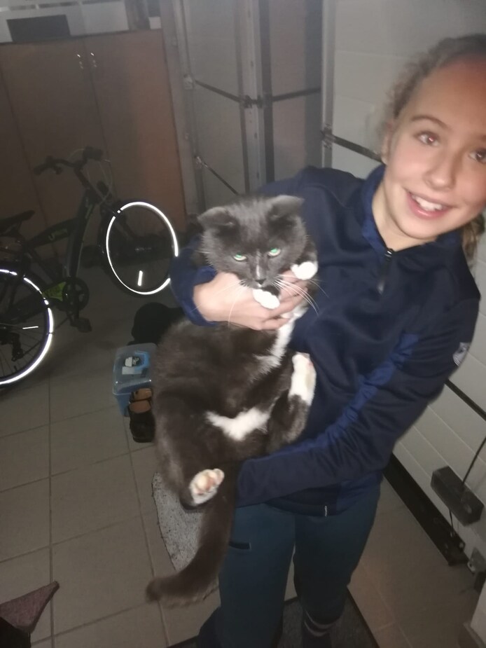 Kater Tuur na drie jaar dankzij chip terug thuis: “We konden het eerst ...