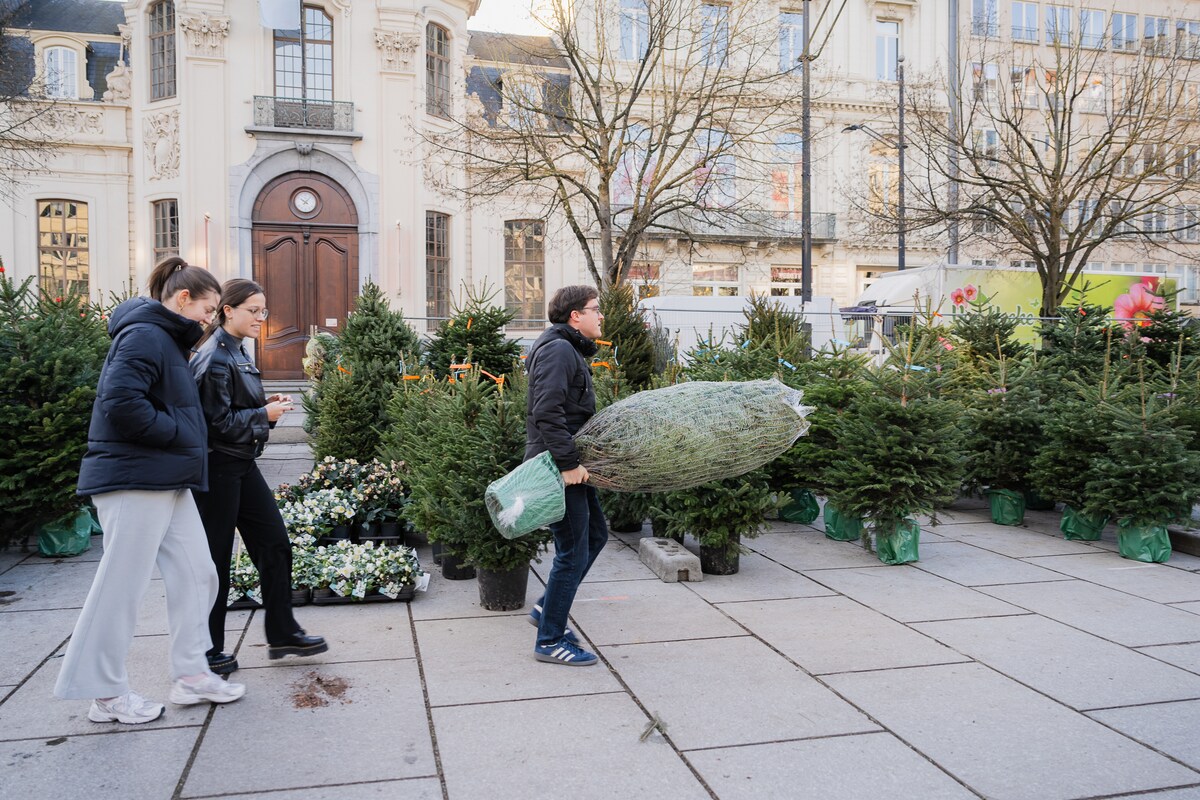 Kerstboomverkoop op Kouter weer van start: grote kerstbal als ...