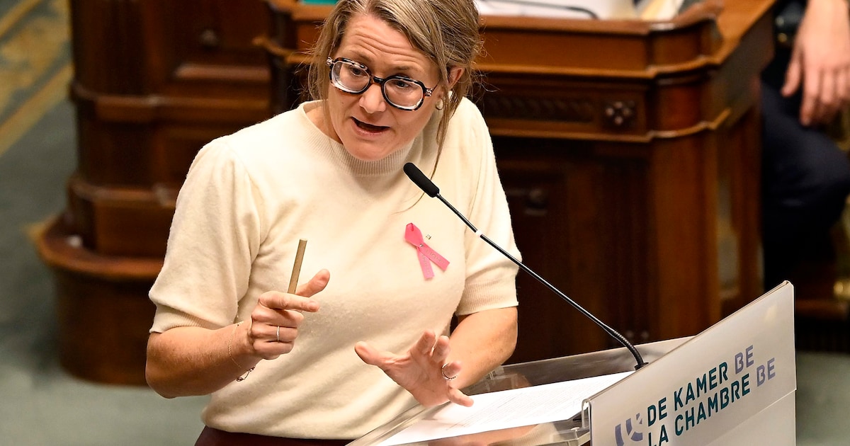 Anneleen Van Bossuyt in debat over ‘strengste migratiebeleid ooit ...