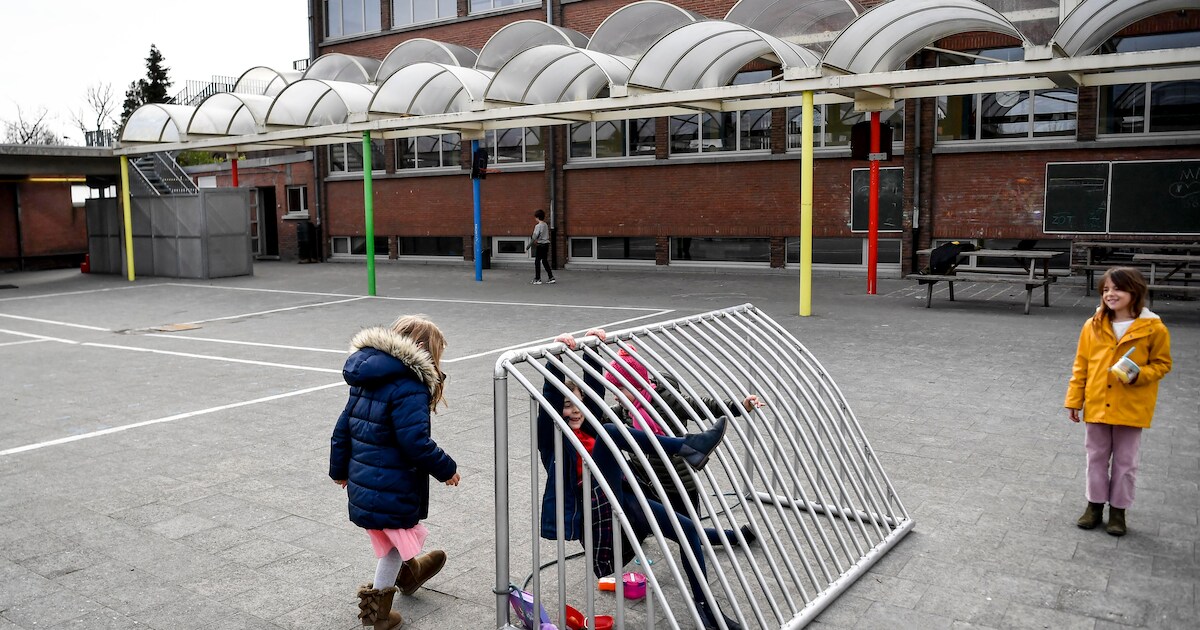 Edegem, OLVE-basisschool 12.11 uur | De Krant | hln.be