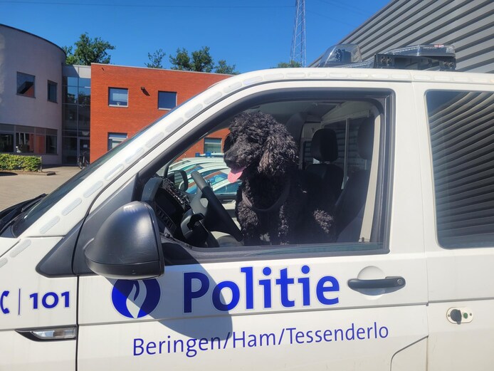 Medewerkers van lokale politie nemen hun viervoeters een dagje mee naar ...