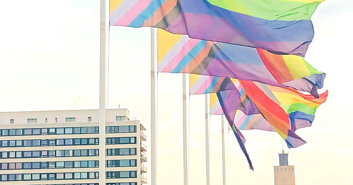 Regenboogvlaggen wapperen boven het Stadhuis | Regio | HLN.be