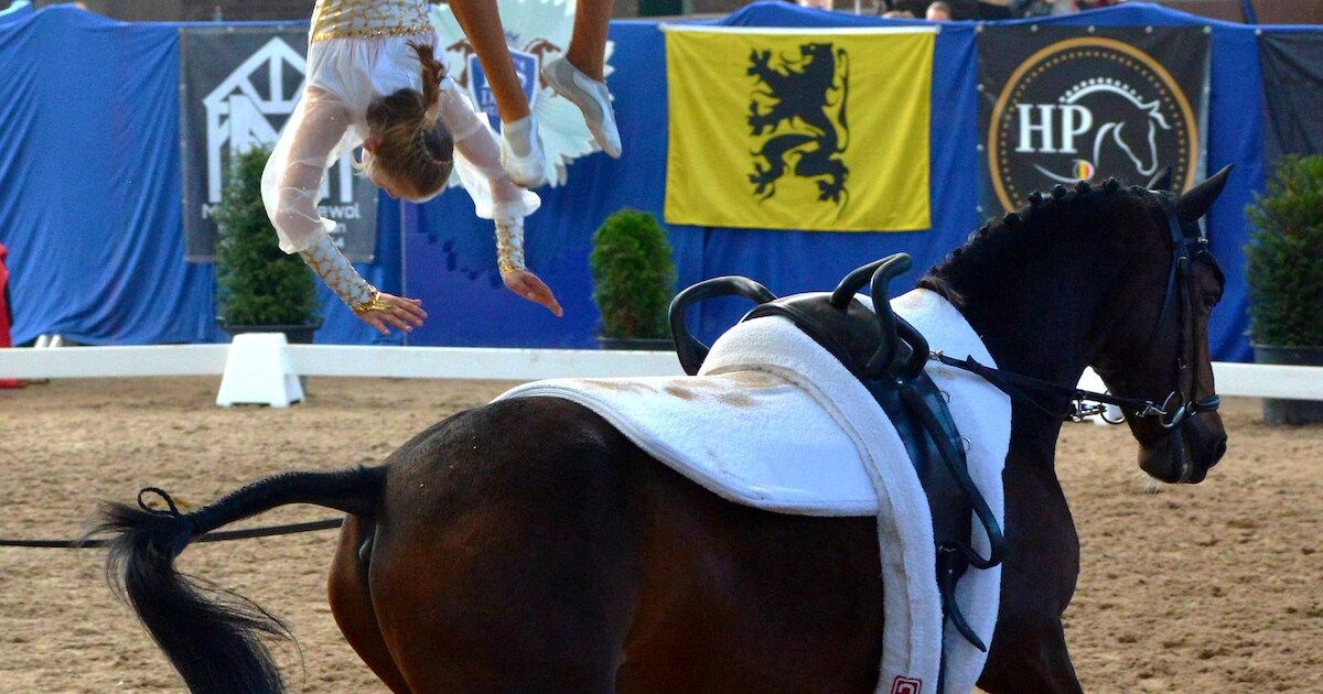 Auke Talpe (12) is kersvers Belgisch kampioene voltige: “Mijn droom ...