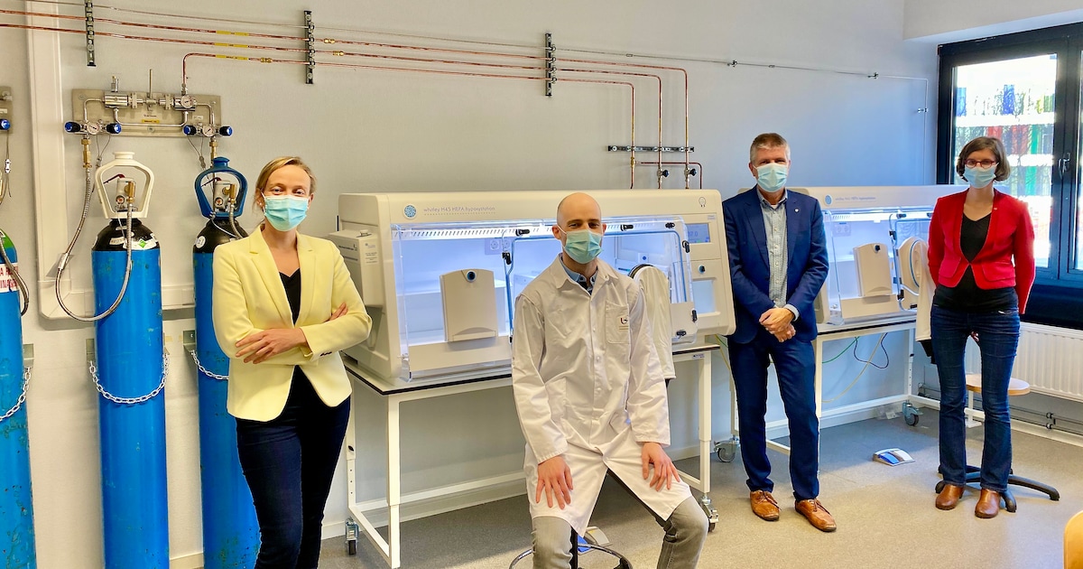 UAntwerpen onderzoekt impact van zuurstoftekort op tumoren met nieuwe ...