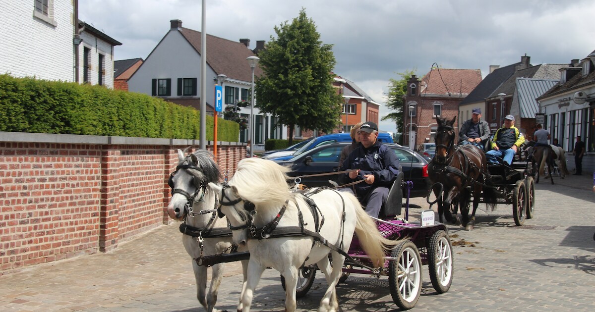 In galop langs de mooiste plekjes van Erpe-Mere | Erpe-Mere | hln.be